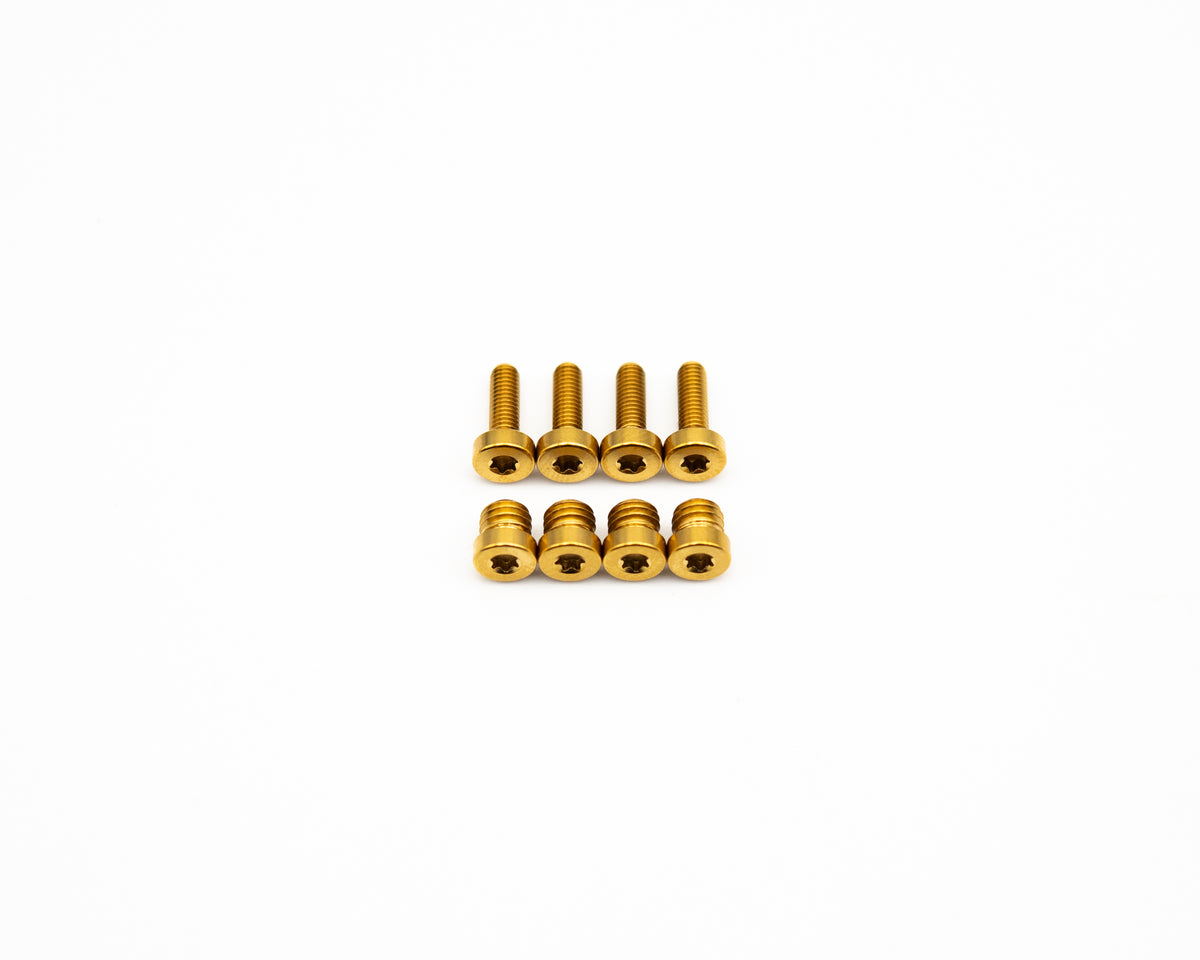 SRAM Brake Lever and Bleed Port Bolts Titanium – Better Bolts