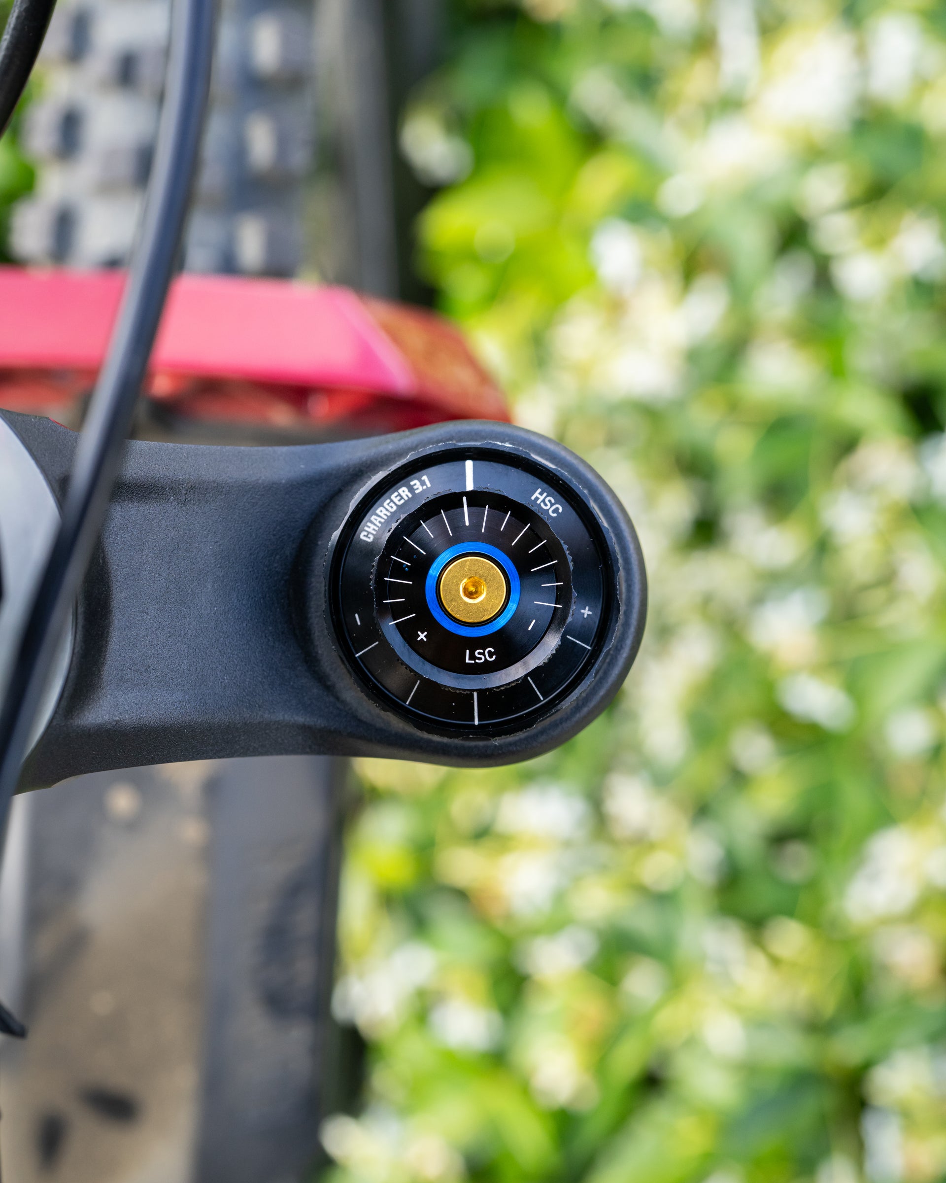 Rockshox Damper Compression Bolt - Titanium – Better Bolts