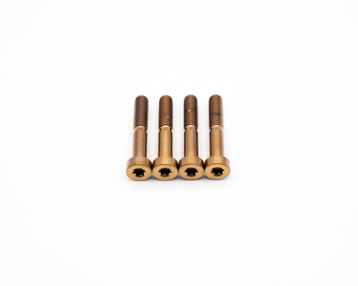 SRAM Mountain Caliper Body Bolts - Titanium – Better Bolts