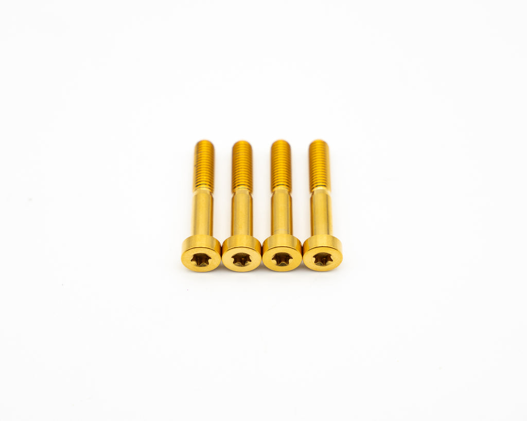 SRAM Mountain Caliper Body Bolts - Titanium – Better Bolts