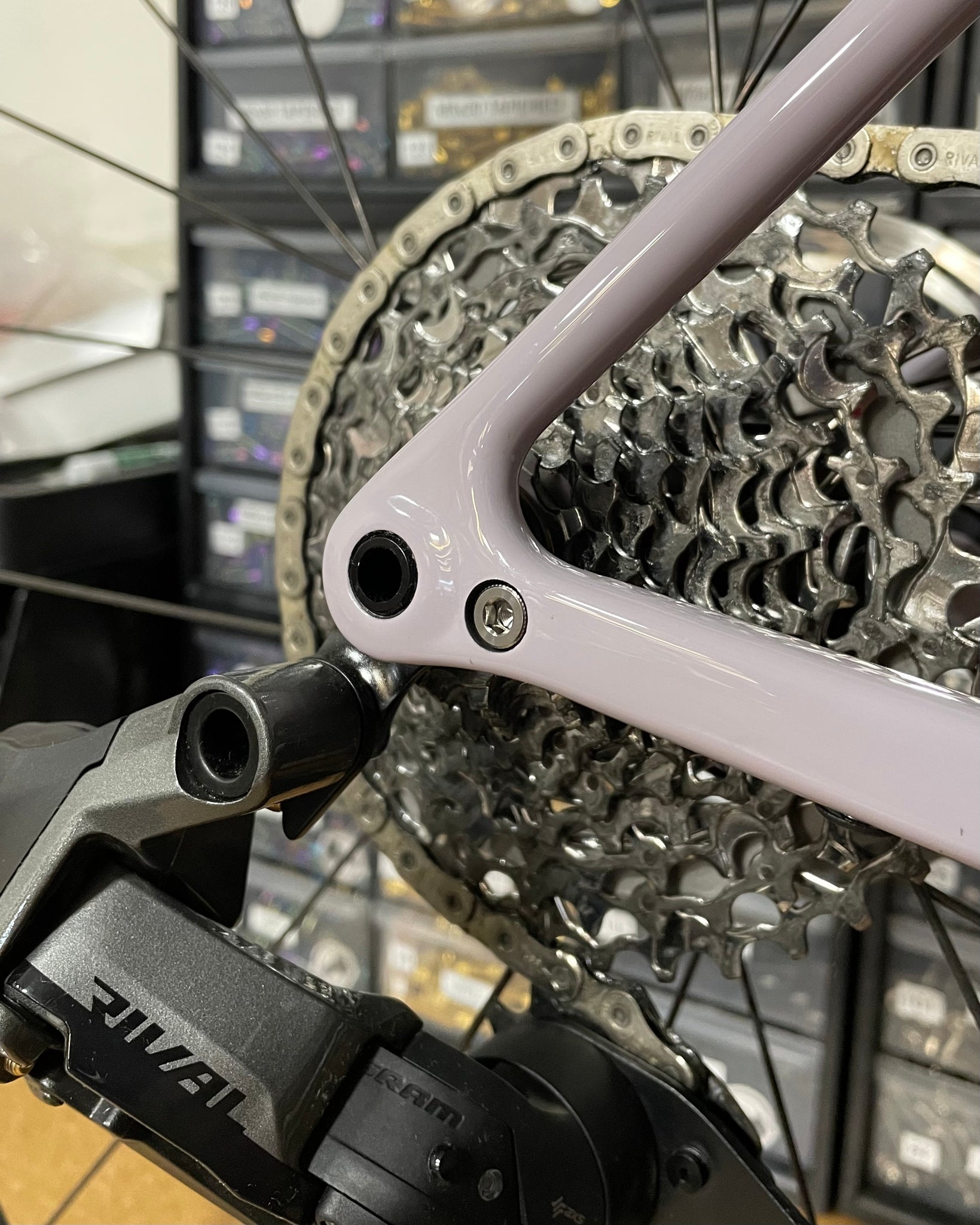 Titanium Specialized Road/Gravel Derailleur Hangar Bolt – Better Bolts