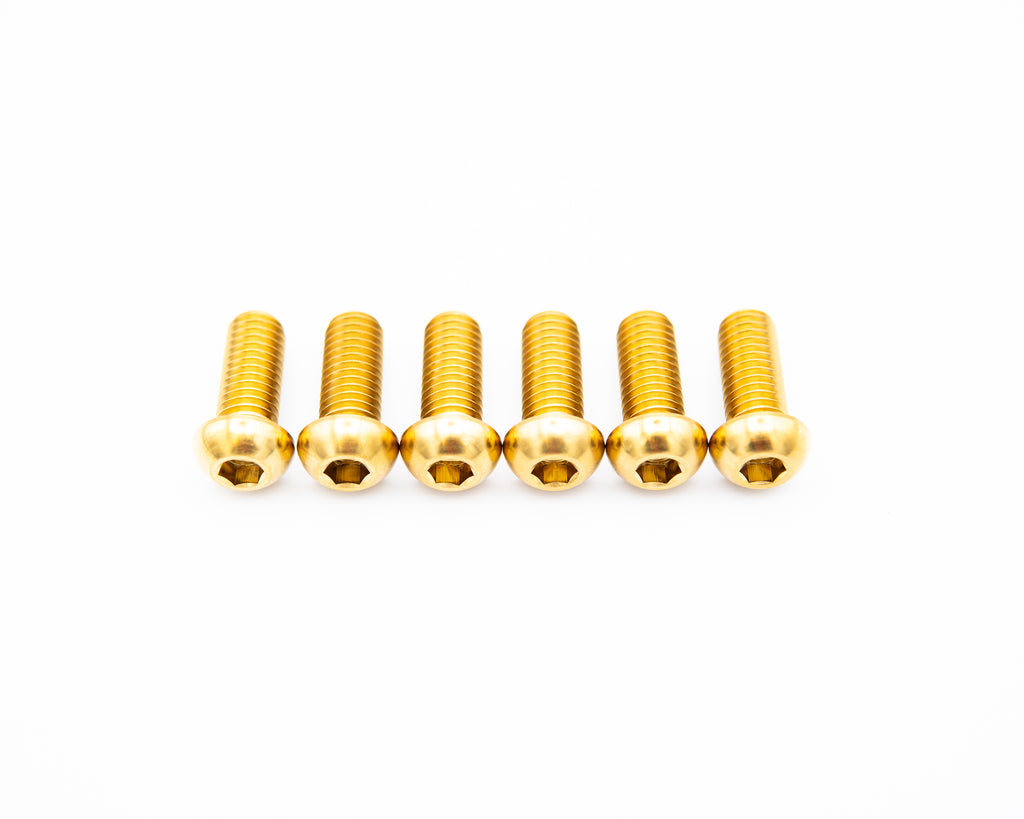 E-Bike Motor Bolt Kit - EP8 - Titanium – Better Bolts